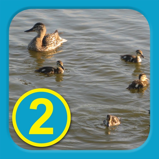 At The Pond - Level 2(B) - Learn To Read Books by Visions Encoded Inc.