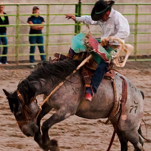 Rodeo Days by Ninja Awesome Pirates LLC