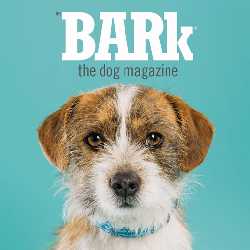 The Bark, the dog culture magazine by The Bark, Inc.