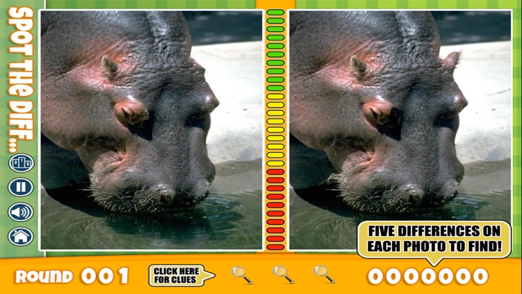 Spot The Diff Zoo Pics by Wayne Hagerty