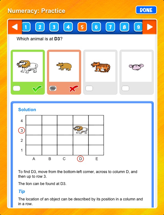 Excel NAPLAN style Year 3 Sample Tests By Pascal Press