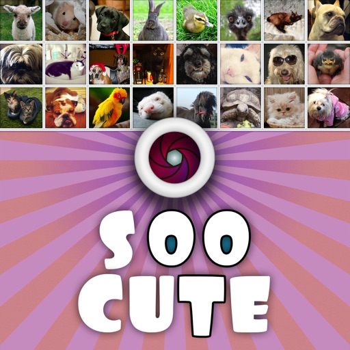 Soo Cute by Pupsidedown