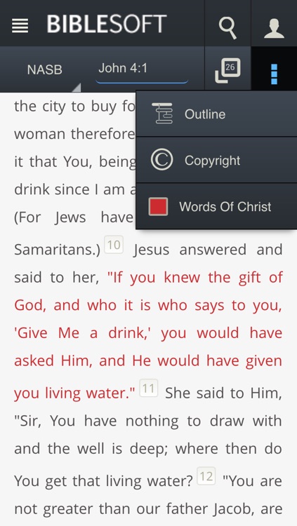 Biblesoft by BibleSoft Inc.