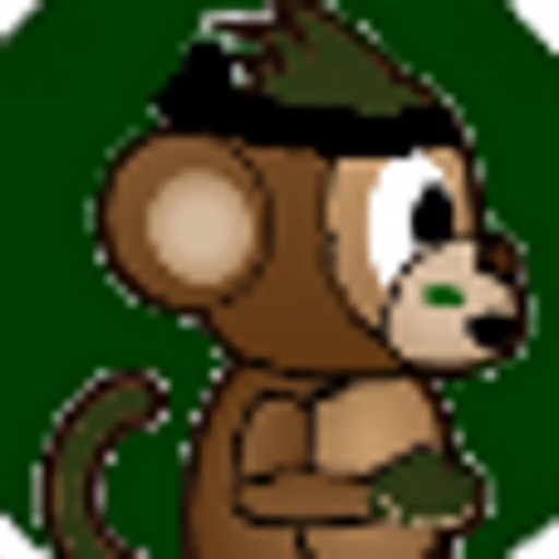 The Ninja Monkey by Khashayar Hossein Zadeh