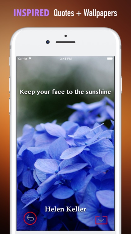 Hydrangea Wallpapers HD- Quotes and Art Pictures by CloudyBrain.com