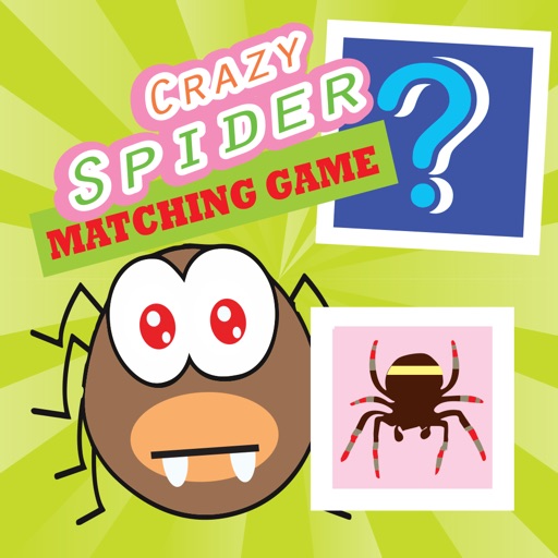 Little Spider Amazing Matching for Kids by Thitiwat Tapingkae