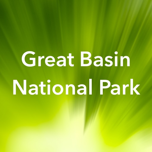 Park Maverick™ by Commnet Wireless, LLC