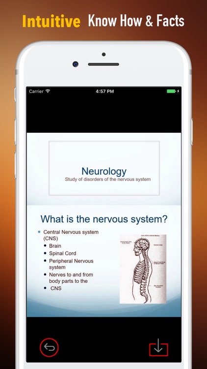 Neurology Glossary-Study Guide and Terminology by Chantelle Lace Galea