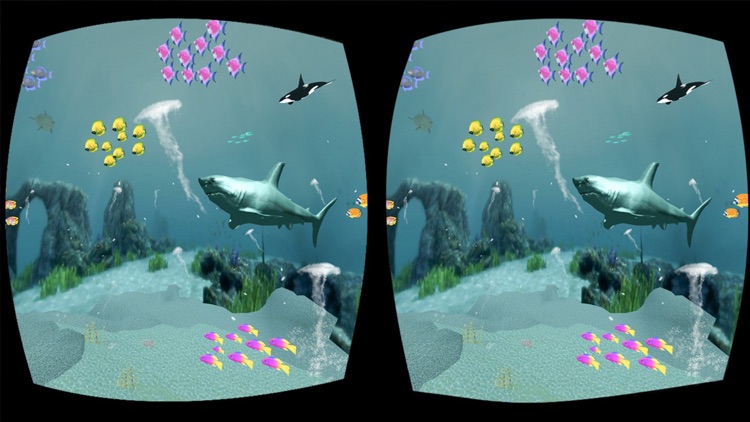 hungry shark attack - virtual reality fishing game by Ahmed Malik