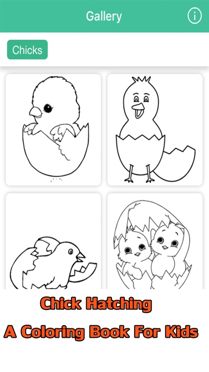Chick Hatching Coloring Book For Kids by Aduldet Wongngam