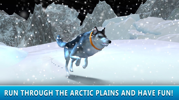 Husky Snow Dog Simulator 3D Full by Games Banner Network