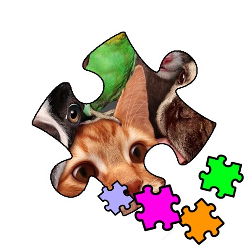 Brain Jigsaw Puzzle Game For Kids by Somchai Nualsri