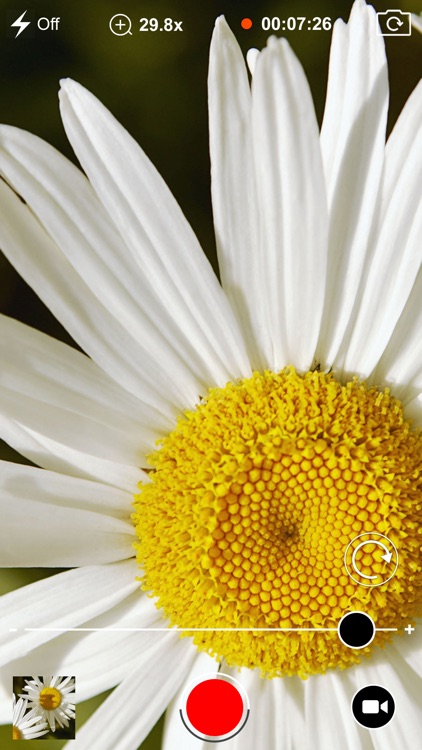 Macro Shooting Video Camera by Tigran Mkhitaryan