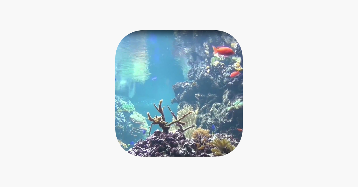 ‎Reef Aquarium 2D/3D on the App Store