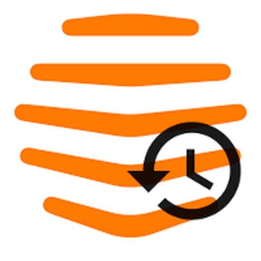 Hive History by Jason Vearncombe