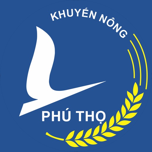 knpt by Dang Xuan Cuong