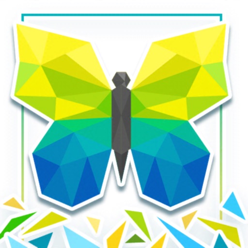 Low Poly Coloring Art Book by Aysha Irfan