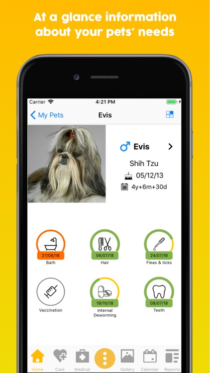 11pets: Pet Care by 11Pets