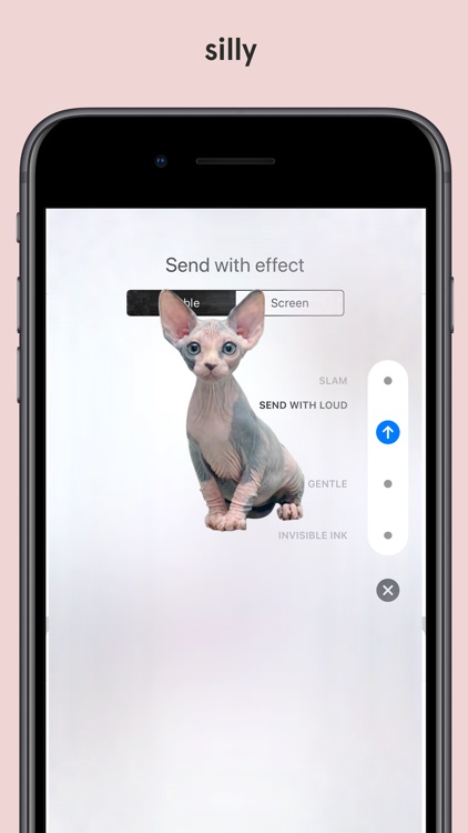 cute bald cats look like rats by Julian Brown