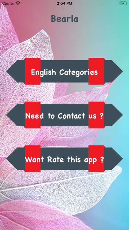 Bearla by 宝萍 邓