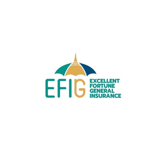 EFI General Insurance by Excellent Fortune Insurance General