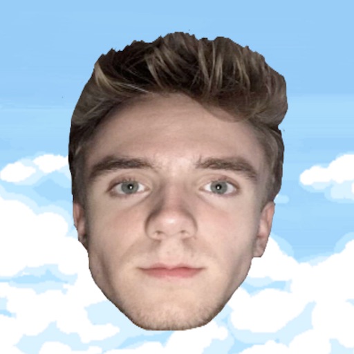 Flappy Faces - Flying Friends by Wayne Jandik