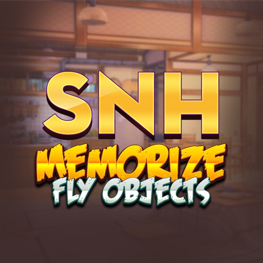 Memorize Fly SNHObjects by Minh Tuyen Pham Le