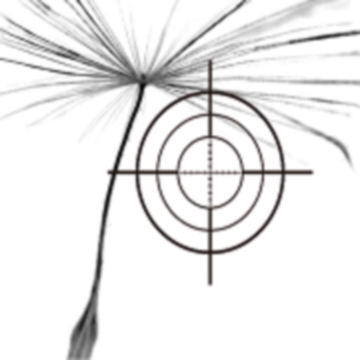 FluffSnipe by Takashi Higuchi