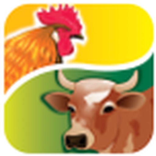 PAAI by Square InformatiX Limited