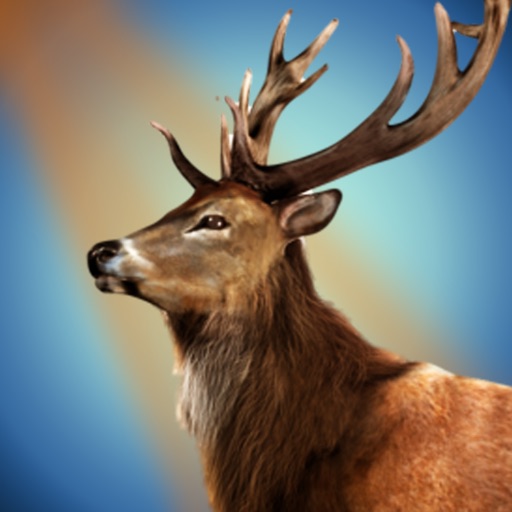 Deer Wild Hunting Adventure Game by Tahir Mahmood