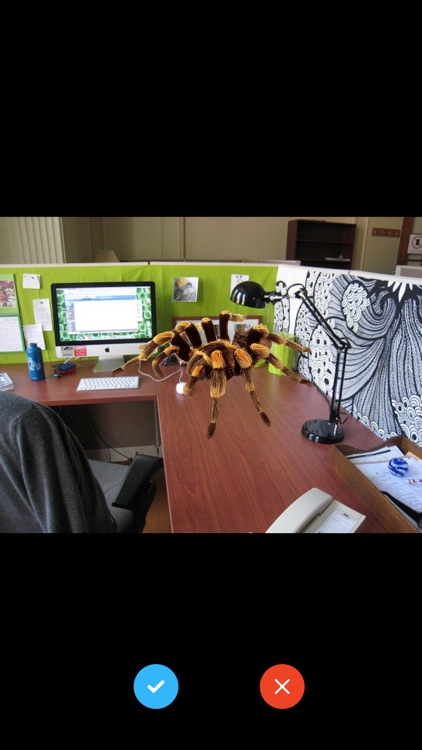 Spider on Screen Prank by Tran Anh