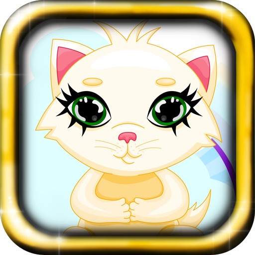 Baby Kitten Dress Up by Angelo Gizzi