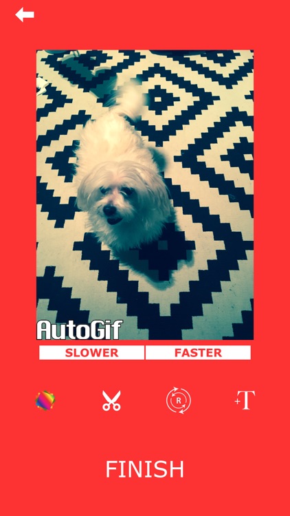 AutoGif - easy gif by Ran Engel