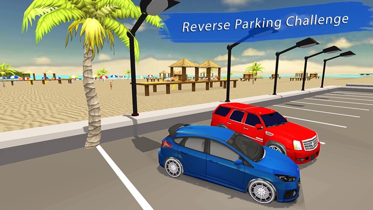 Beach Valet Parking 3D by Nasru Minallah