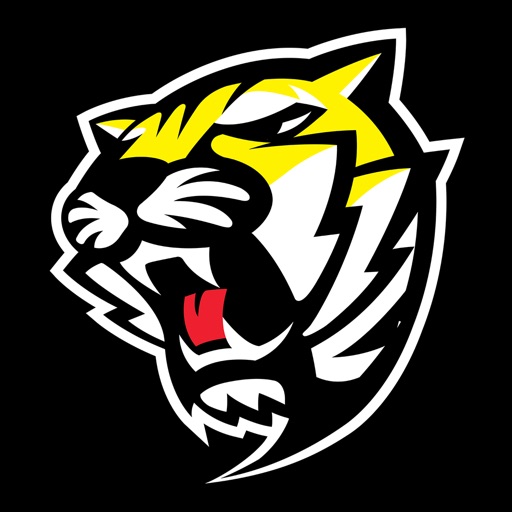 WABX - Activities by EveryBuddy Ltd