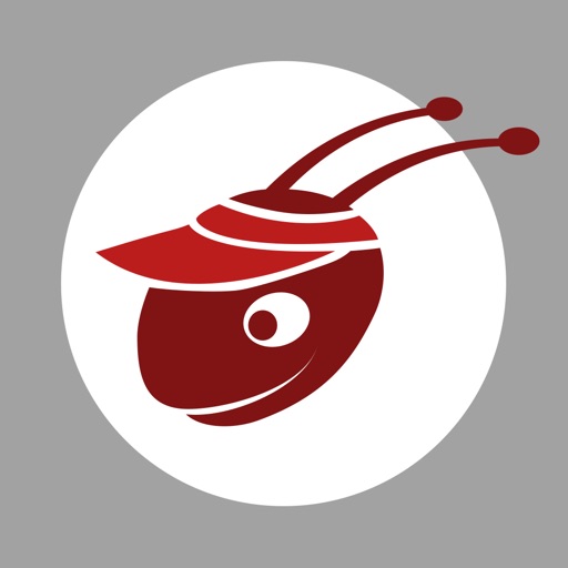 ANT Viewer by Carolina Villen Rodriguez