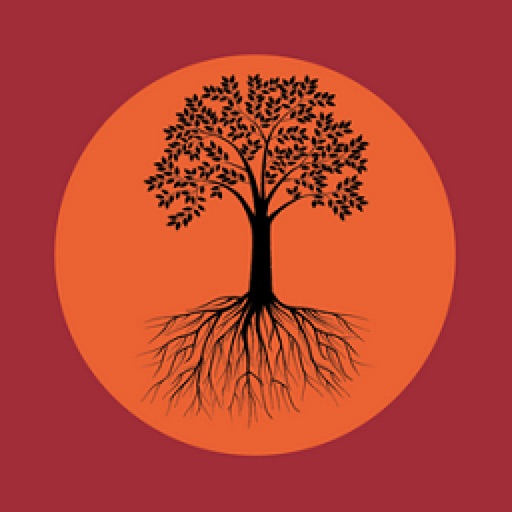 Rooted Life by Nosihle Telecommunications