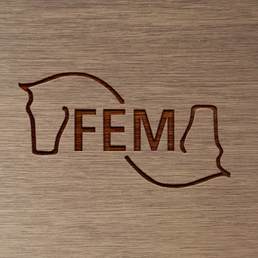 FEM App by Mauricio Esparza