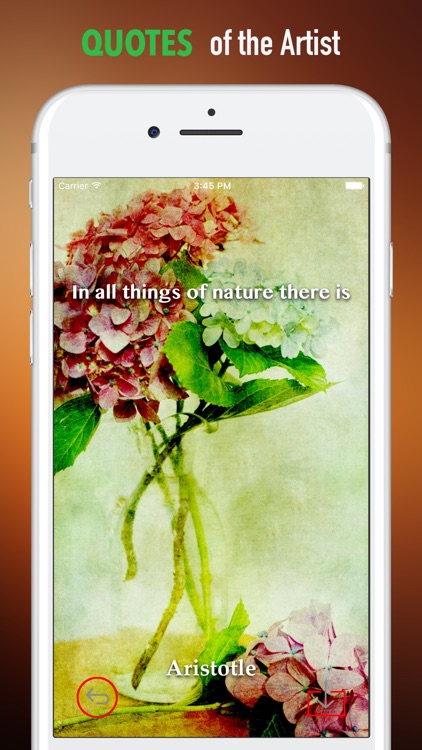 Hydrangea Wallpapers HD- Quotes and Art Pictures by CloudyBrain.com