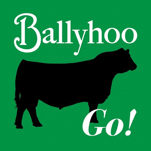 Ballyhoo Go! by MersaTech