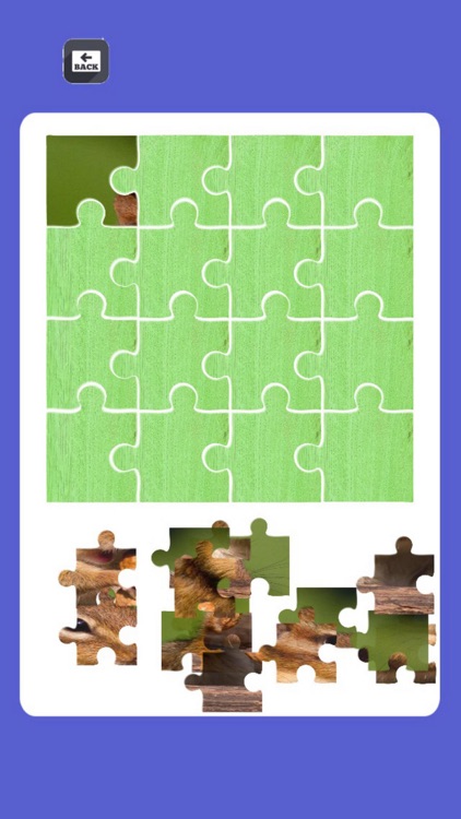 Top Chipmunk Puzzle for Jigsaw Game by tachit kanasuwan