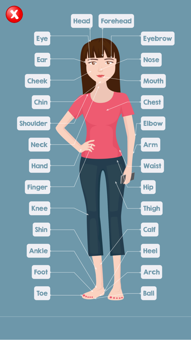 T l charger Human Body Parts Name Pour IPhone IPad Sur L App Store 