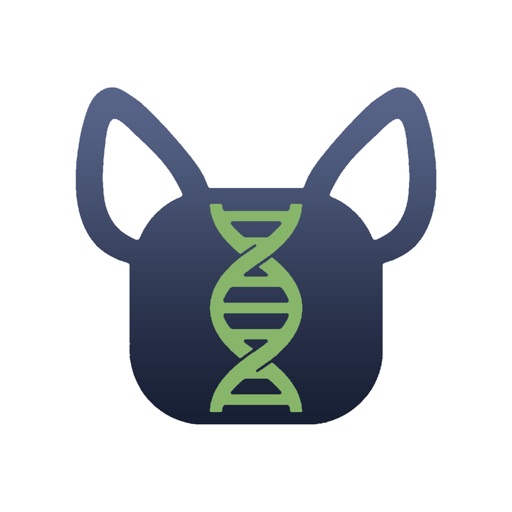 ColorMyFrenchie by Herine Chin