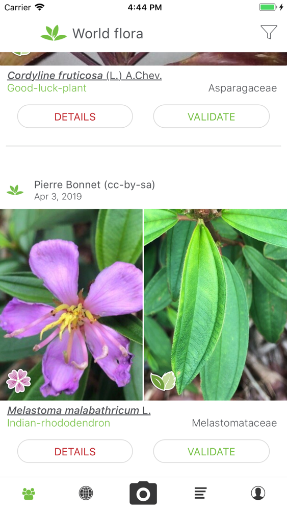 PlantNet App For IPhone Free Download PlantNet For IPad IPhone At 