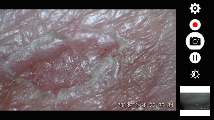 FireflyPro Mobile by Firefly Global