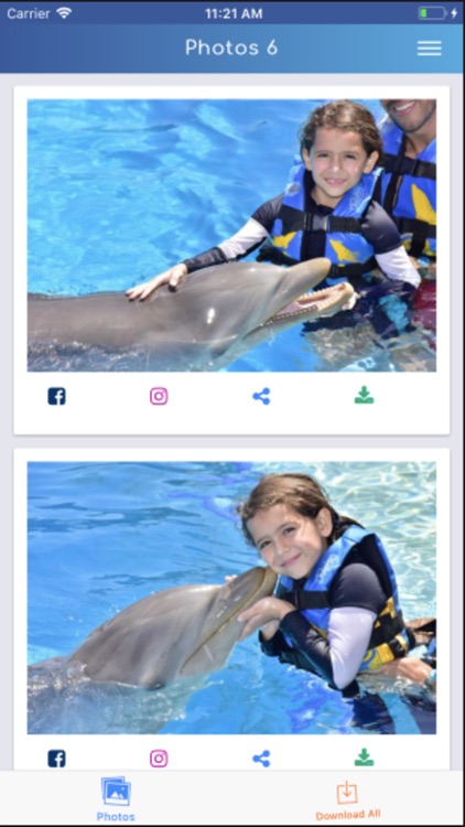 Dolphin Memories by Linda Ortiz