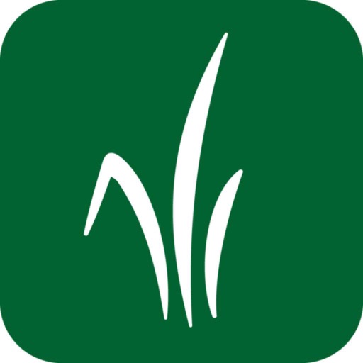 Islera by Guadalupe Boado Montero