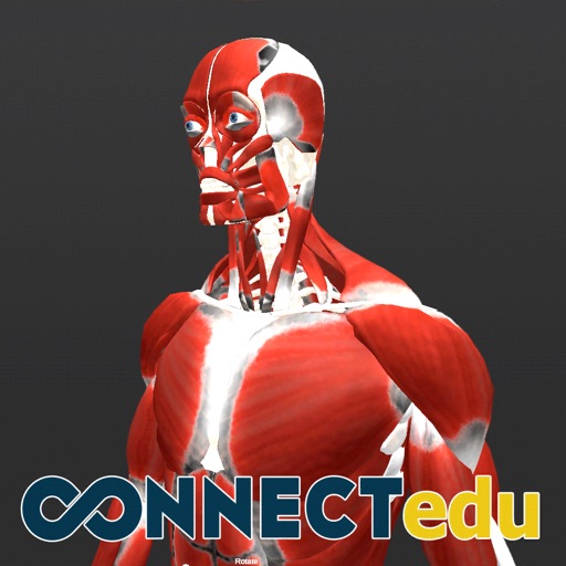 Anatomy Of Human Muscles for PC - Windows 7,8,10,11