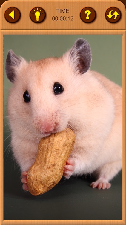 Hamster Jigsaw Puzzle Games by Irina Schens