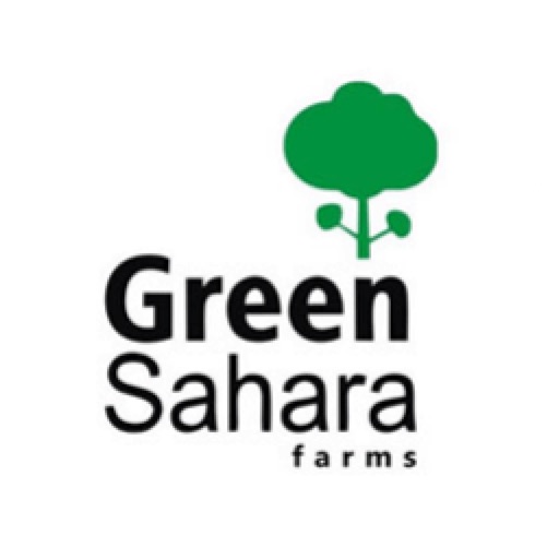 Green Sahara by Wole Olugbemiro